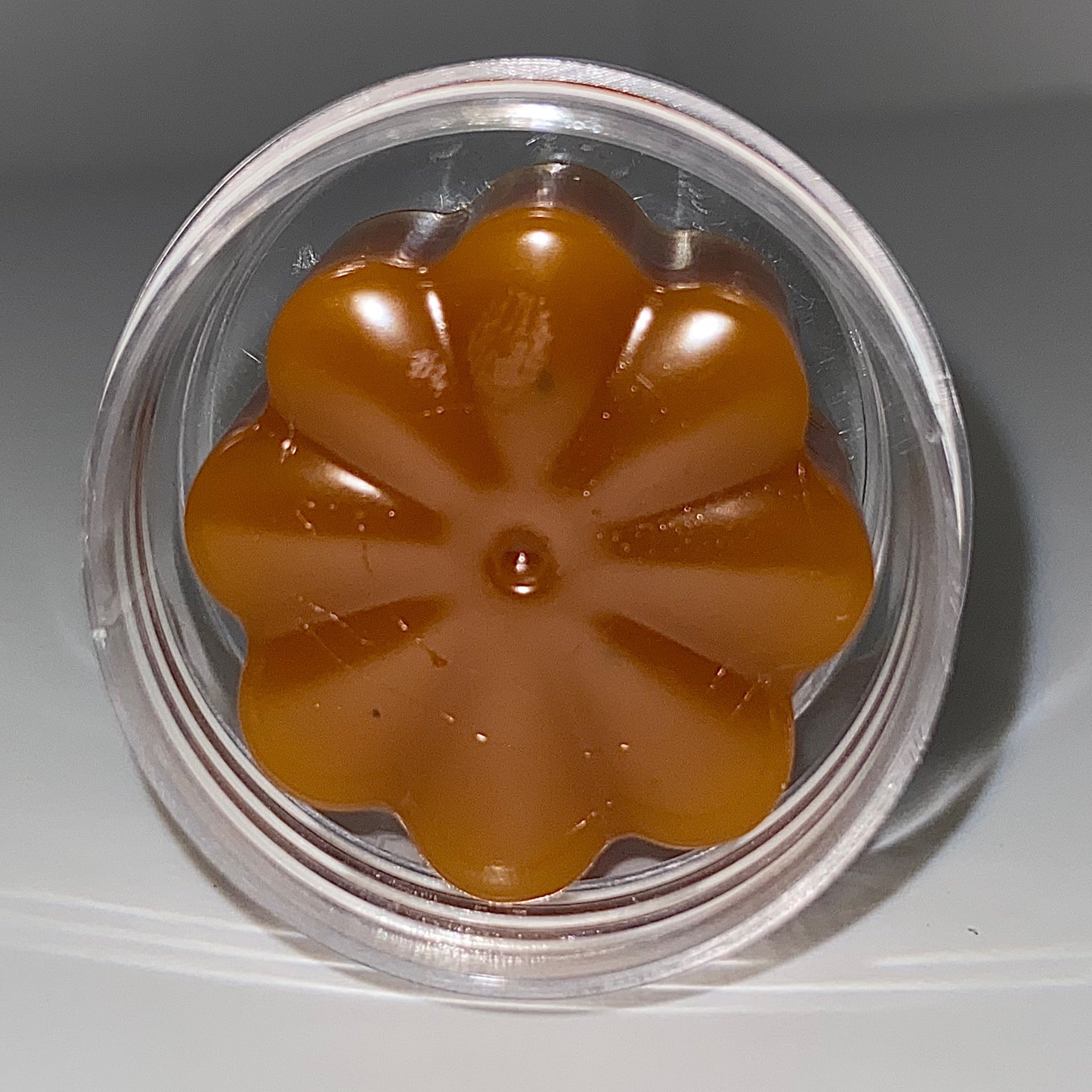 8g Native Propolis Wax | Cairns Native Bee