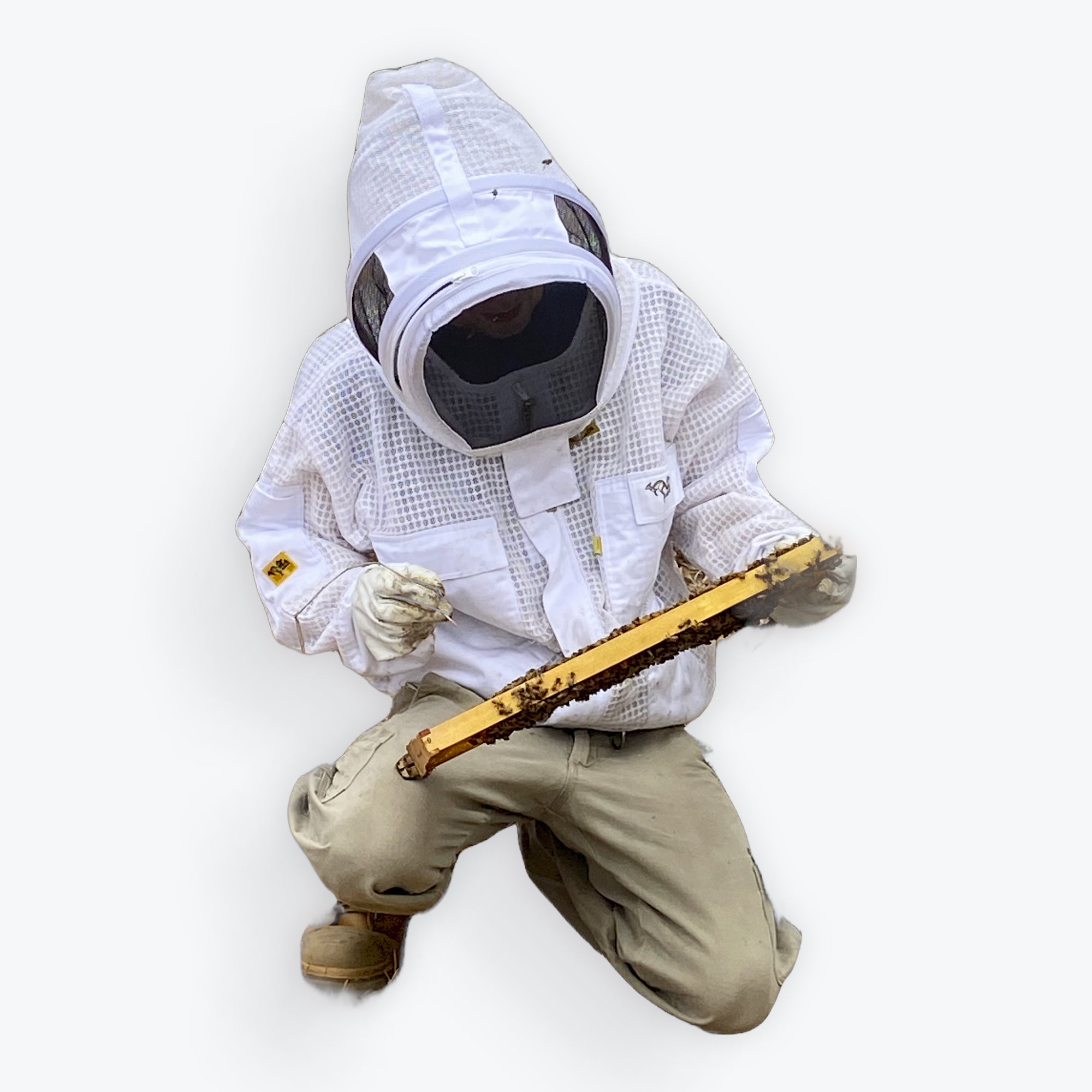 Hive Servicing | Cairns Native Bee