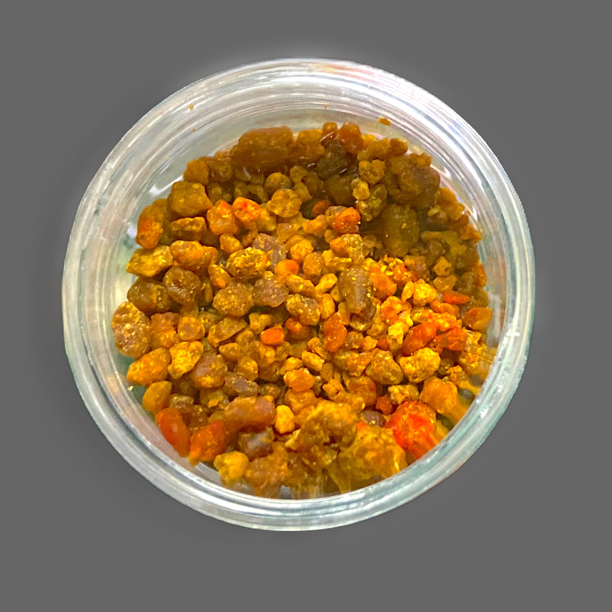 Bee Bread Pollen Pot | Cairns Native Bee